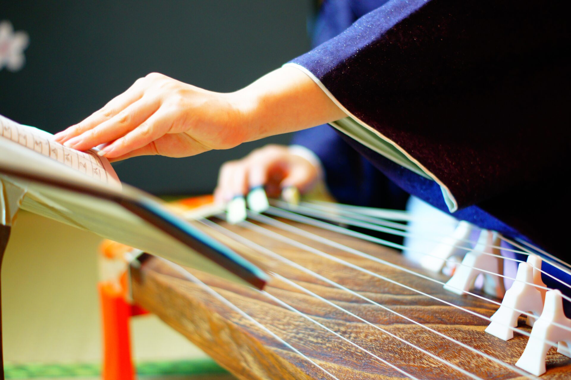 What is the Koto? History, Structure, and Playing Methods Explained ...